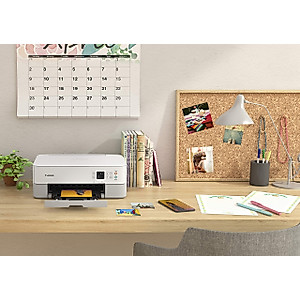 Canon PIXMA TS5320 All in One Wireless Printer, Scanner, Copier with AirPrint, White, Works with Alexa