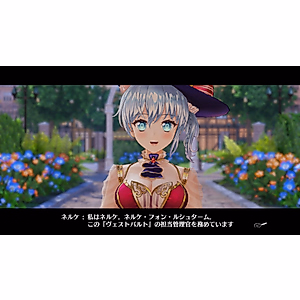 リディー&スールのアトリエ ~不思議な絵画の錬金術士~ DX