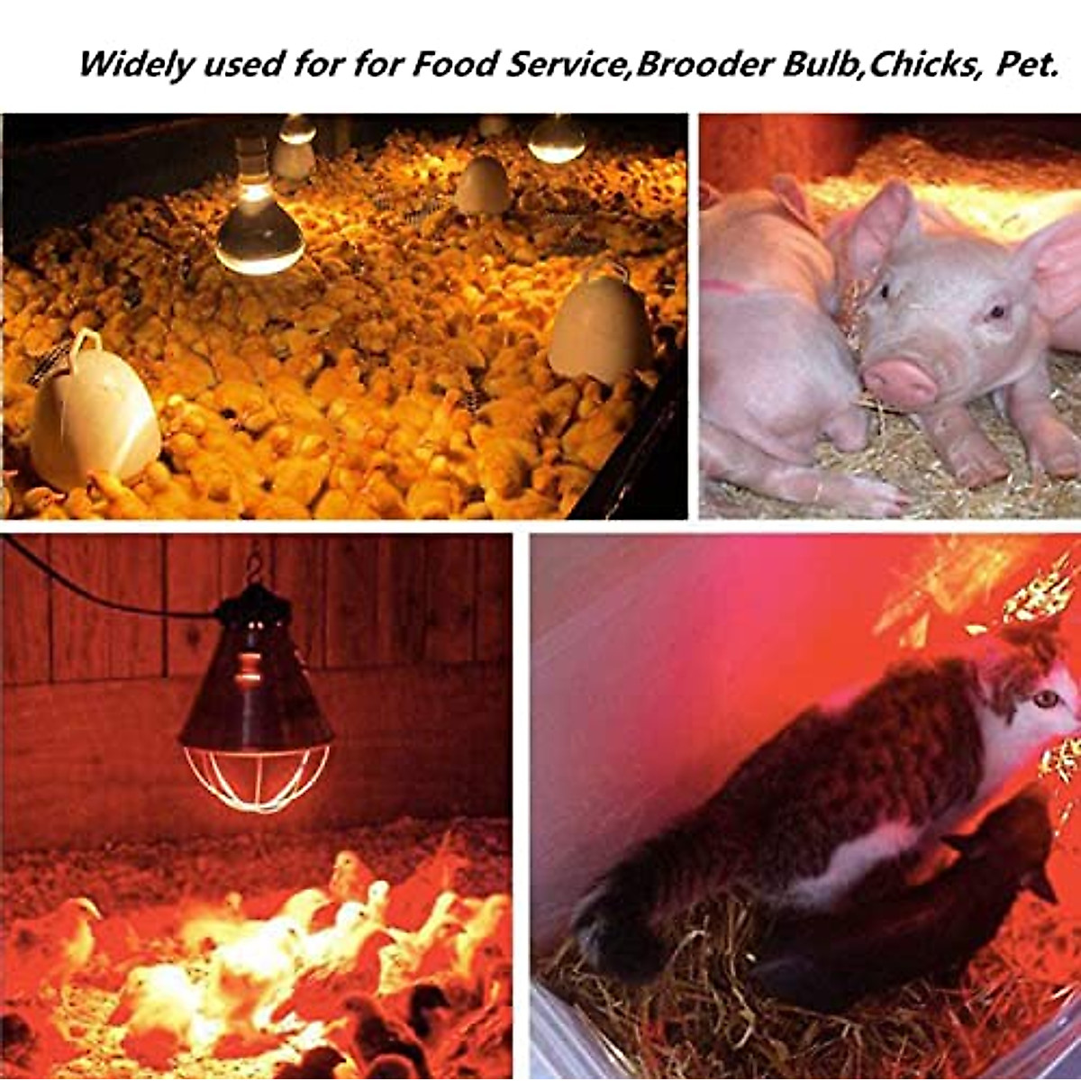 Qixivcom 2-Packs 275W Heat Lamp Bulb Infrared Heating Bulbs Dark Red Light Glass Heat Lamp E26 Waterproof Anti-Explosion Thickened Bulbs for Piglet Chicken Duck Birds Bathroom Light Therapy Use