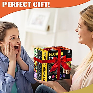 Indoor Daisy Garden Starter Kit, 5 Non-GMO Flower Seeds Planting Set with Gardening Tool Set - Jute Bags, Markers, Soil Disks and Shears, Home Gardening Gifts for Women Men Flower Plant Lovers