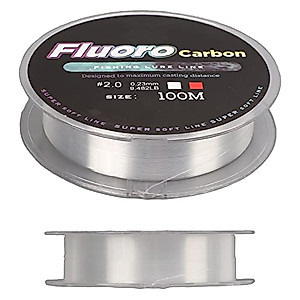 Gaeirt Super Strong Fishing Line, Straight Lightweight 100M Nylon Fishing Line High Strength for Reservoir Fishing(#2.0)