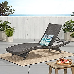 Christopher Knight Home Salem Outdoor Chaise Lounge