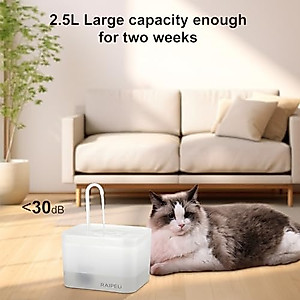 Cat Water Fountain, Raipeu 2.5L Cat Fountain, Activated Carbon Filter, Translucent Water Tank, Pet Water Fountain for Big Cat, Big Dog, Pet(Orange)