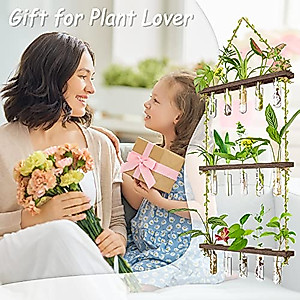 Grovind Propagation Stations, 3 Tier Large Wall Hanging Plant Terrarium with Wooden Stand Retro Propagation Station Test Tubes for Hydroponic Indoor Plants Cutting Planter for Home Garden Office Decor