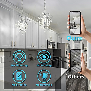 DAYBETTER G9 Led Bulb 12Pack 6000K Daylight White 4W, Equivalen G9 Halogen Light Bulb 40 Watt, T4 G9 Bi Pin Ceramic Base, 120V 450LM No-Flicker 360° Beam Angle Non-Dimmable, G9 Bulb for Chandeliers