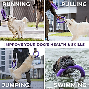 Puller Outdoor Dog Ring Toys - Dog Fetch Toy & Tug of War Dog Toy for Small Medium Large Dogs - Dog Ball & Soft Dog Frisbee Alt - Outside Dog Yard Toys - Big Dog Pull Toy - Dog Agility Jumps Tool