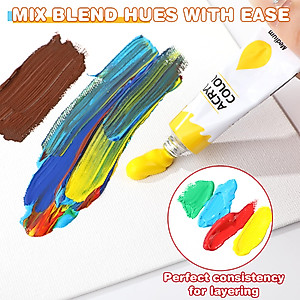 2 Pack Acrylic Paint Set 12 Colors,20 Paint Brushes,24 Paints for Adults,Kids,Beginner,Professional Artists,Non-Toxic Craft Paint kit for Paper,Canvas,Rock,Wood,Ceramic,Fabric Vibran