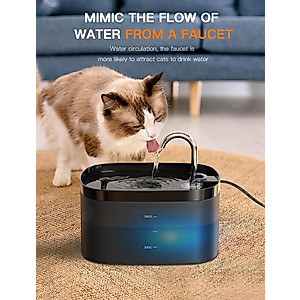 Cat Water Fountain, 84OZ/2.5L Cat Fountain, Super Silent Pet Water Fountain, Activated Carbon Filter, Translucent Pet Water Dispenser Suitable for Multiple Pets Family (Black)
