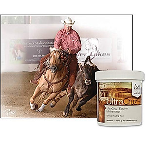 UltraCruz Ichthammol Ointment for Horses, 16 oz