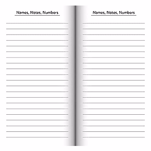 Kitten Cuddles | 2023-2024 3.5 x 6.5 Inch Two Year Monthly Pocket Planner | BrownTrout | Animals Cute Cat Feline