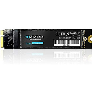 Dataram 256GB SSD Solid State for 11" & 13" MacBook Air Late 2010 Mid 2011 /A1370 A1369