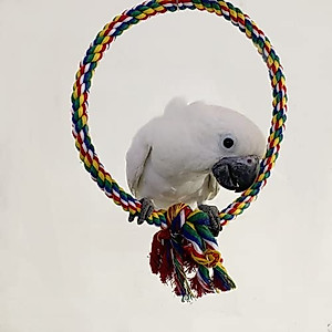 Barn Eleven Bird Swing Perch Cotton Rope Ring Toy Colorful Bird Cage Perches Bite Resistance Perches Toy Suits for African Grey Cockatoos Amazon Parrots Mini Macaws Large Medium Parrot Birds