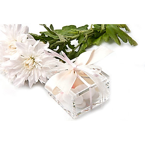 White Jordan Almonds Candy Bulk | 5LB | Candy Covered Almond - Wedding Favors - With Sweet Hard Candy Coating - Italian Confetti | Five Pounds I Made in USA