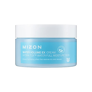 MIZON Water Volume EX Cream, Moisture Cream, Deep Hydration Cream, Soft Skin, Korean skin care (100ml/ 3.38 fl oz)