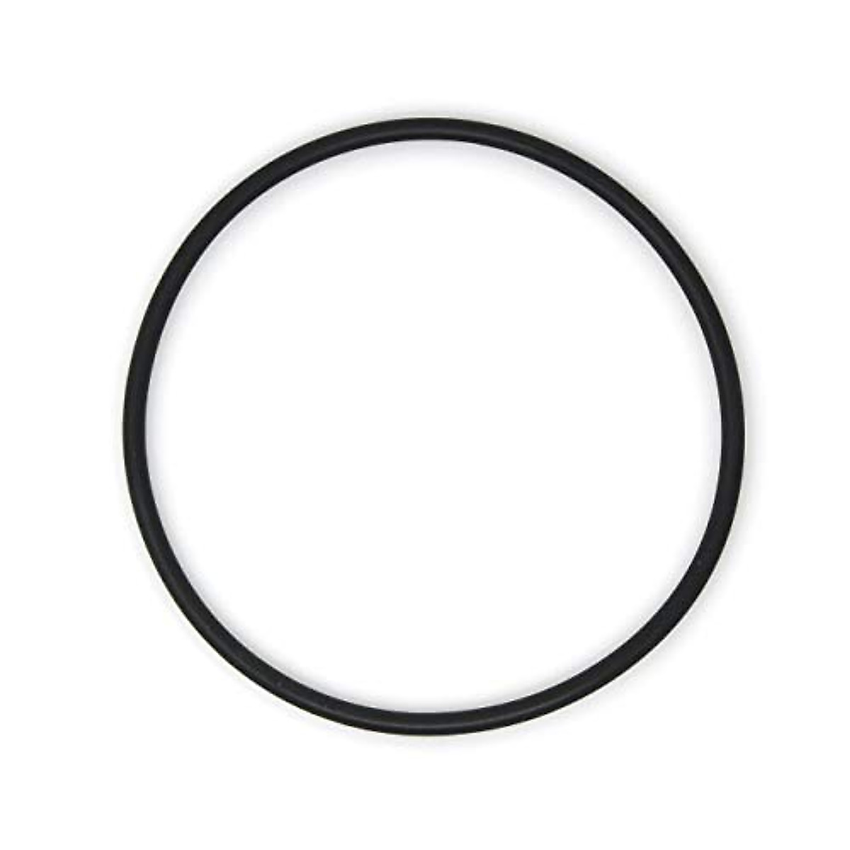 AppliaFit O-Ring Compatible with Hayward CX900F for Star-Clear Plus ...