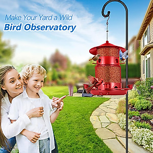 Metal Bird Feeders for Outside, Squirrel Proof Hanging Wild Bird Feeder, 4 Lbs Large Seed Capacity, Outdoors Mesh Tube Birdfeeders with 6 Perches