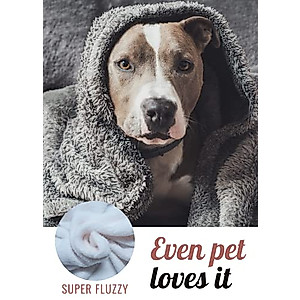 InnoBeta Pitbull Gifts for Pitties Lovers, Pitbull Flannel Blanket Throws for Pitt Dog Mom Dad, 50 x 65 inches, Perfect for Birthday Christmas Thanksgiving Mother's Day