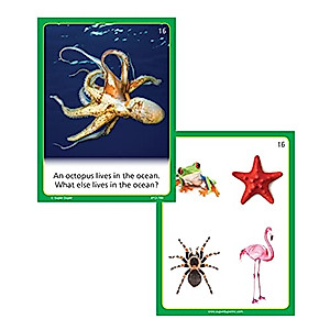 Super Duper Publications | Photo Similarities & Differences Fun Deck | Same & Different Describing Cards