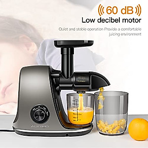 CIRAGO Juicer Machines, Slow Masticating Juicer Extractor Two Speed Adjustment, Easy to Clean, Quiet Motor, Cold Press Juicer for Vegetables and Fruits, BPA-Free (Grey)