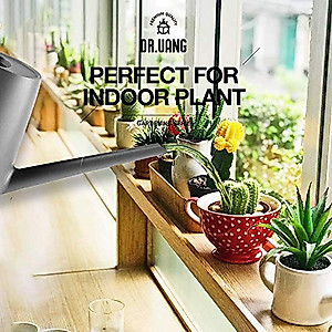 DR.UANG Watering Can for Indoor House Plants Long Spout with Detachable Spray Head Watering Cans for Plant Garden Flower, Long Spout Water Can for Outdoor Watering Plants 1.8L 60oz 1/2 Gallon (Gery)