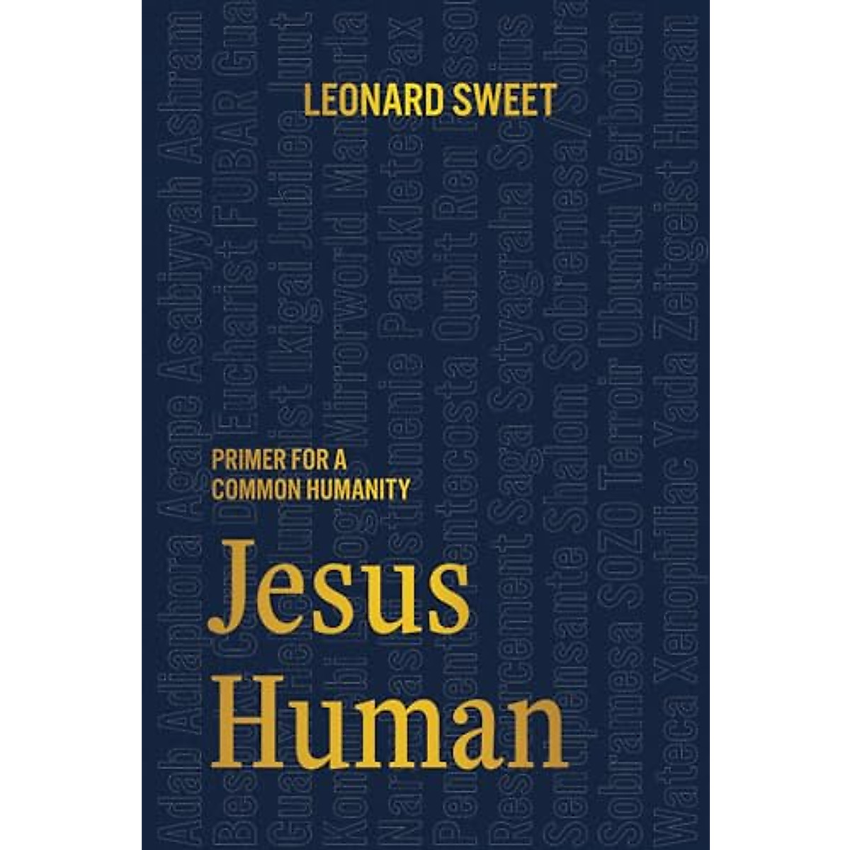 Jesus Human: Primer for a Common Humanity