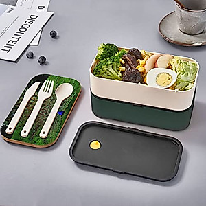 KOOLR Peacocks Print Bento Box Adult Lunch Box With 2 Compartments Stackable For Work Picnic Leak Proof Bento Box