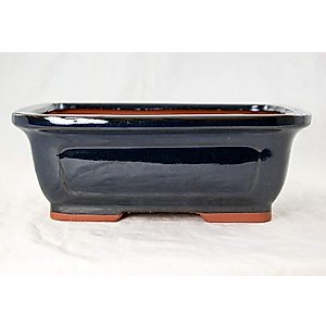 Rectangular Shohin Bonsai/Cactus & Succulent Pot 8"x 6"x 3" - Navy Blue Glazed