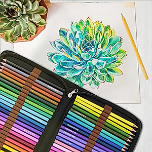 U.S. Art Supply 50 Piece Adult Coloring Book Artist Grade Colored Pencil Set with Zippered Storage and Carrying Case - Vibrant Colors, Smooth Art Drawing, Sketching - Kids, Students, Adults, Beginners