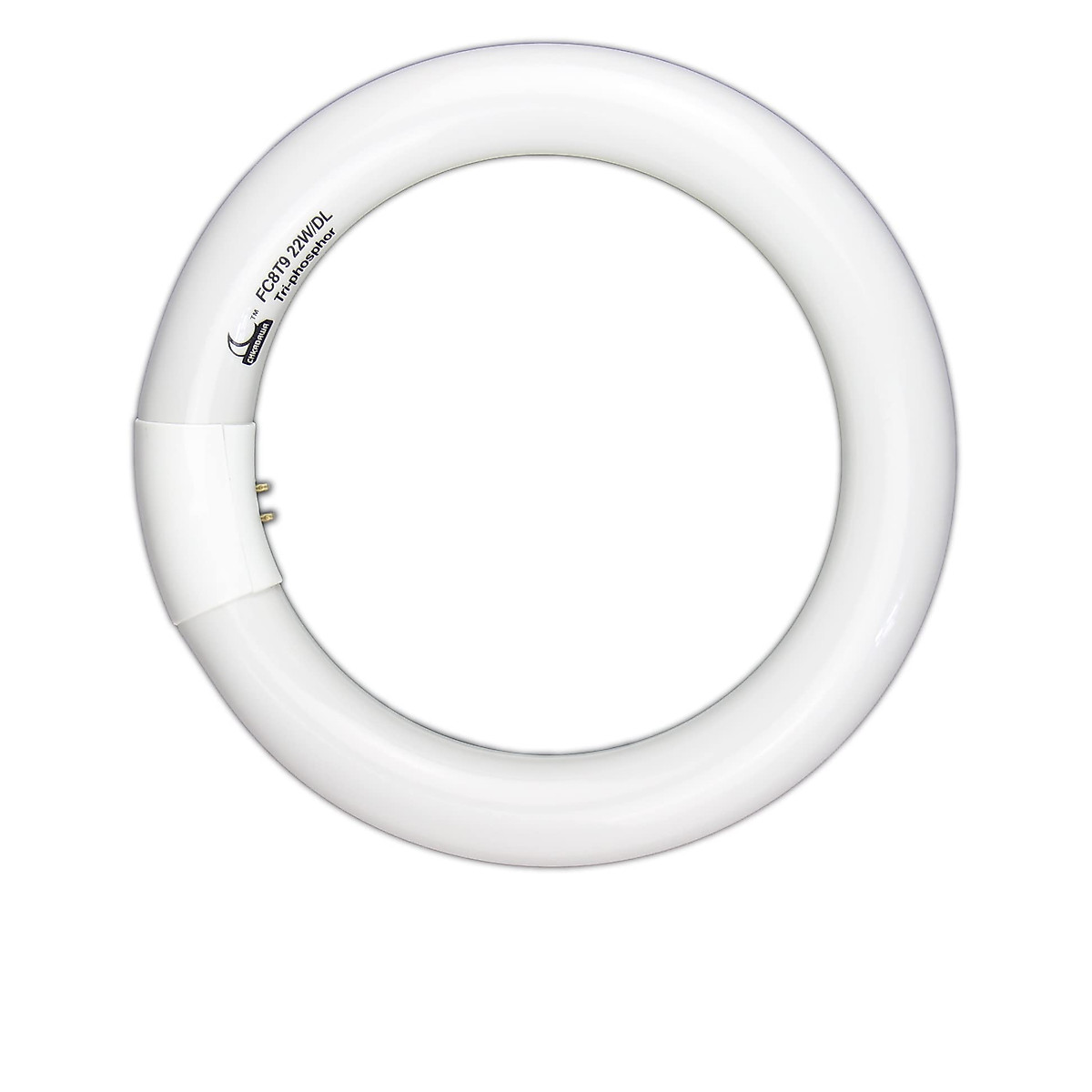 CHKADAWA Circular Bulb FC8T9/DL, 8 Inch T9 22W Circline Fluorescent Light Bulbs, Replacement Round Fluorescent Lamp Tube, Bright Daylight 6400K 1250 Lumens, G10q 4 Pin Base, 2 Pack