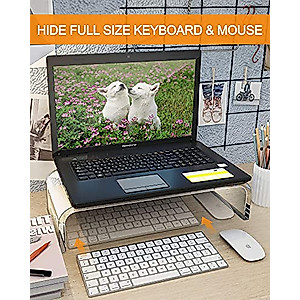 Clear Monitor Riser, Acrylic Computer Stand 20 inch - Sturdy 50LB Max - Promote Pain Relief Posture & Free Up Cluttered Space with TV, Laptop & PC Computer & Desk Storage Organizer Stand Riser