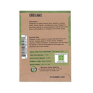 Oregano Herb Garden Seeds - Common Italian - 500 mg Packet - Non-GMO, Certified Organic Oregano Herbal Spice Gardeing Seed