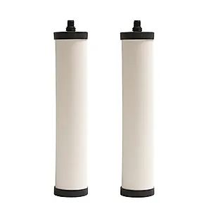 Franke FRC06-2PK Cartridge, 2 Count (Pack of 1), White