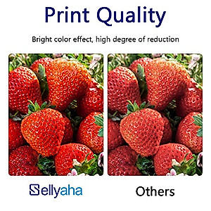 Sellyaha Ink Cartridge Replacement for Canon PG-245XL CL-246XL Compatible with Canon PIXMA IP2820 MG2420 MG2520 MG2522 MG2525 MG2555 MG2920 MG2922 MG2924 MG3020 MX490 MX492 Printer