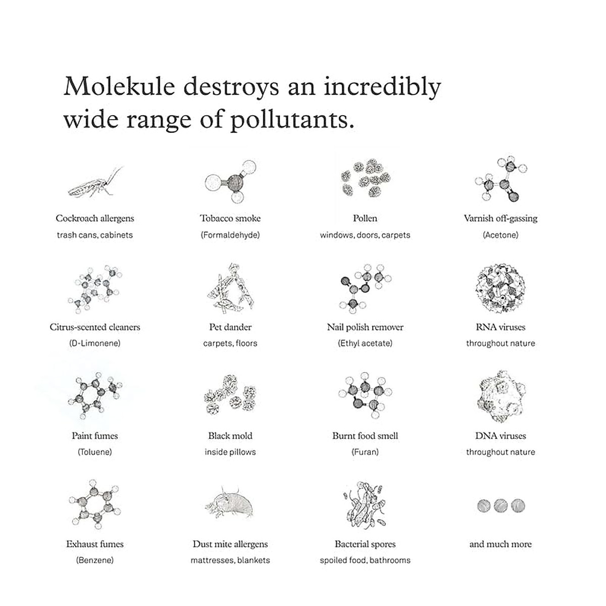 Molekule Air Pre-Filter (2pk)