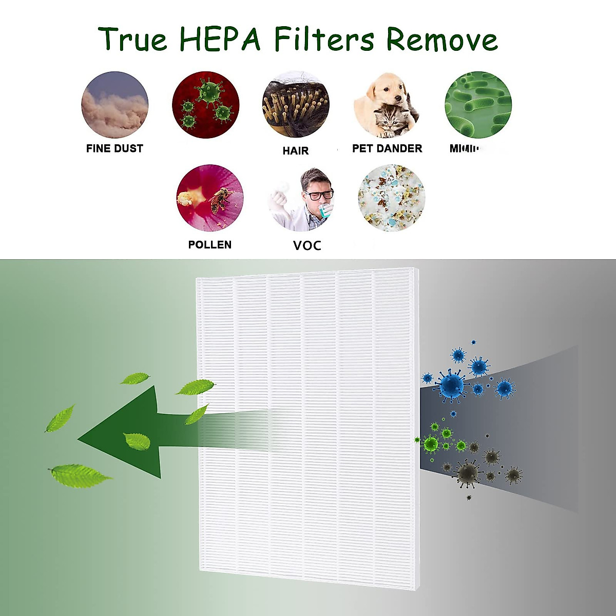 116130 HEPA Replacement Filter H Compatible with Winix 5500-2 Air Purifier and Models AM80, HEPA Filter Only 3 Pack
