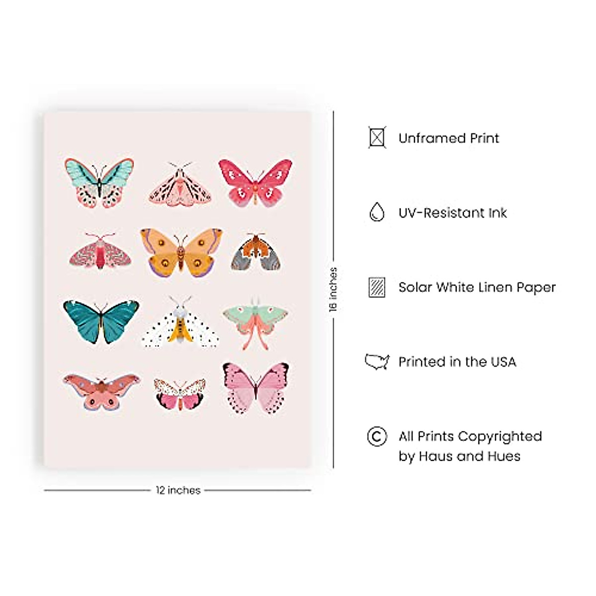 HAUS AND HUES Vintage Butterfly Posters & Butterfly Prints - Butterfly Poster Vintage Butterfly Art Wall Decor & Butterfly Art Prints Monarch Butterfly Wall Art & Butterflies Print UNFRAMED (12"x16")