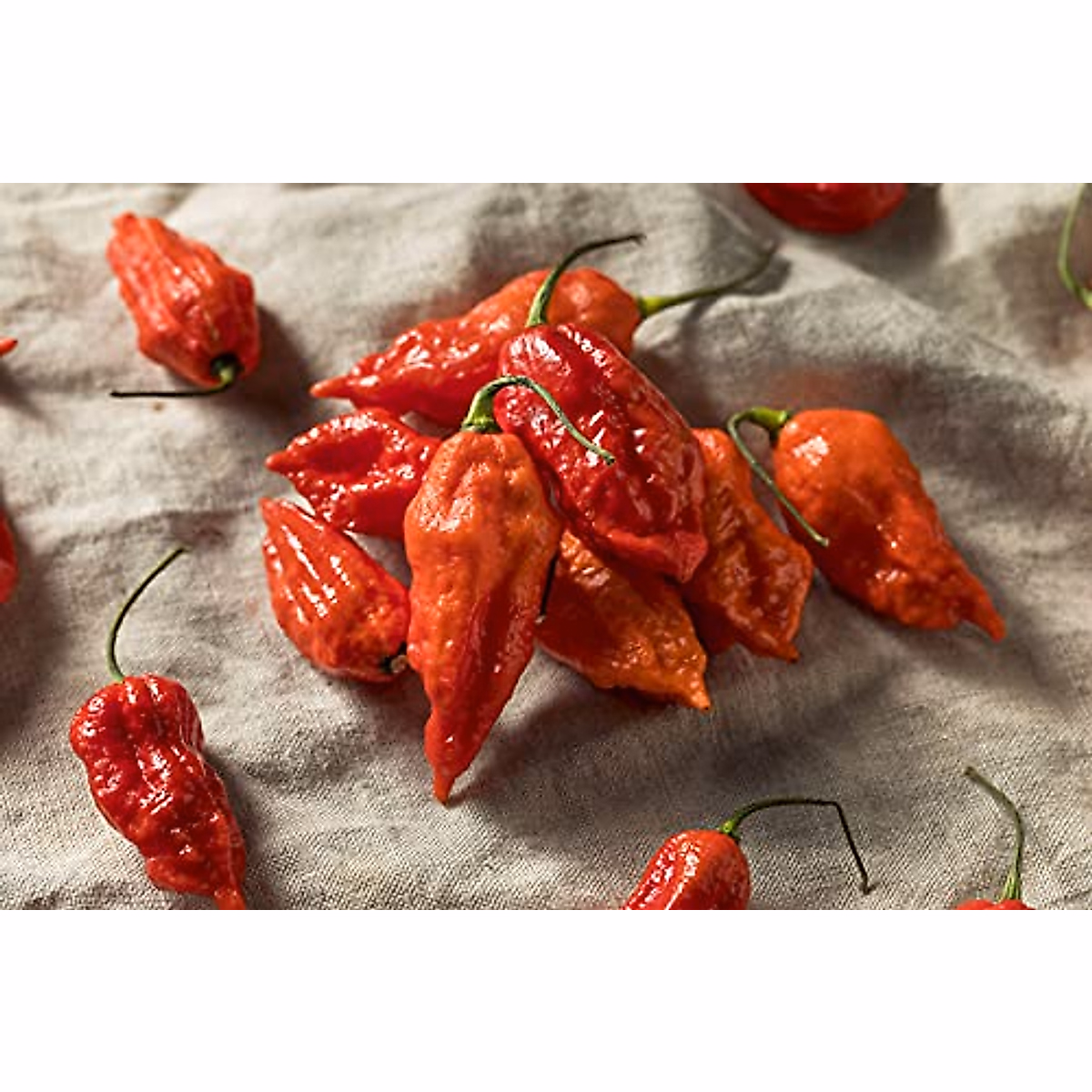 Whole Dried Ghost Pepper Pods (Bhut Jolokia) - 8 Whole Pods