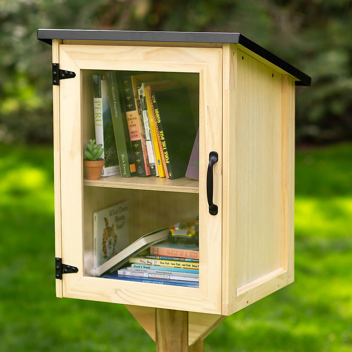 Ilyapa Outdoor Library Book Box - Free Literature Exchange Kit for Outside - Little Wood Cabinet for Sharing Books, Art with Your Community, Students or Teachers - Easy Mount to Post - 16x14x22 Inch