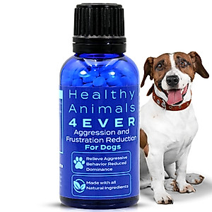 Healthy Animals 4Ever All-Natural Dog Calming Tablets for Stress and Aggressive Behavior - Help Reduce Dog Aggression/Frustration & Promote Relaxation - Homeopathic & Highly Effective - 300 Tablets