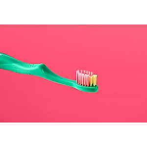 The Twelve Step3 Kids Toothbrush Vivid - Soft Bristles for Boys & Girls Ages 3+ - 12-Pack Rainbow Brushes (Monthly Replacement Reminder) (Triple Section Design) for Children’s Teeth