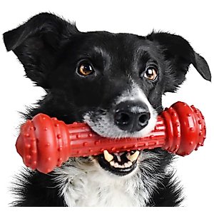 Pet Qwerks Bongo BarkBone - Nylon Dog Bone for Aggressive Chewers - Prime Rib Flavor - Large