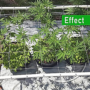 HOMEANING 5 x 15ft,1 Pack White Garden Trellis Netting,Heavy-Duty Polyester Grow Net, Plant Netting for Climbing Plants Outdoor,Vegetables, Fruits, and Flowers