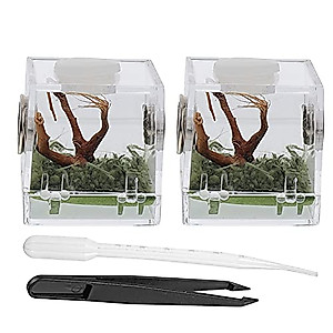 NUOBESTY 2 Set Spider Terrarium Acrylic Critter Keeper Jumping Spider Enclosure Snail Container House Reptile Terrarium Insect Enclosure Tank Snail Spider Habitat 3. 5X3. 5X4CM