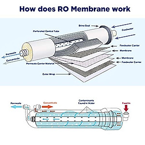 Membrane Solutions 150 GPD RO Membrane, Reverse Osmosis Membrane with Membrane Housing, Replacement for Under Sink Home Drinking RO Water Filter System, Wrench, 1/4" Quick-Connect Fittings,Check Valve
