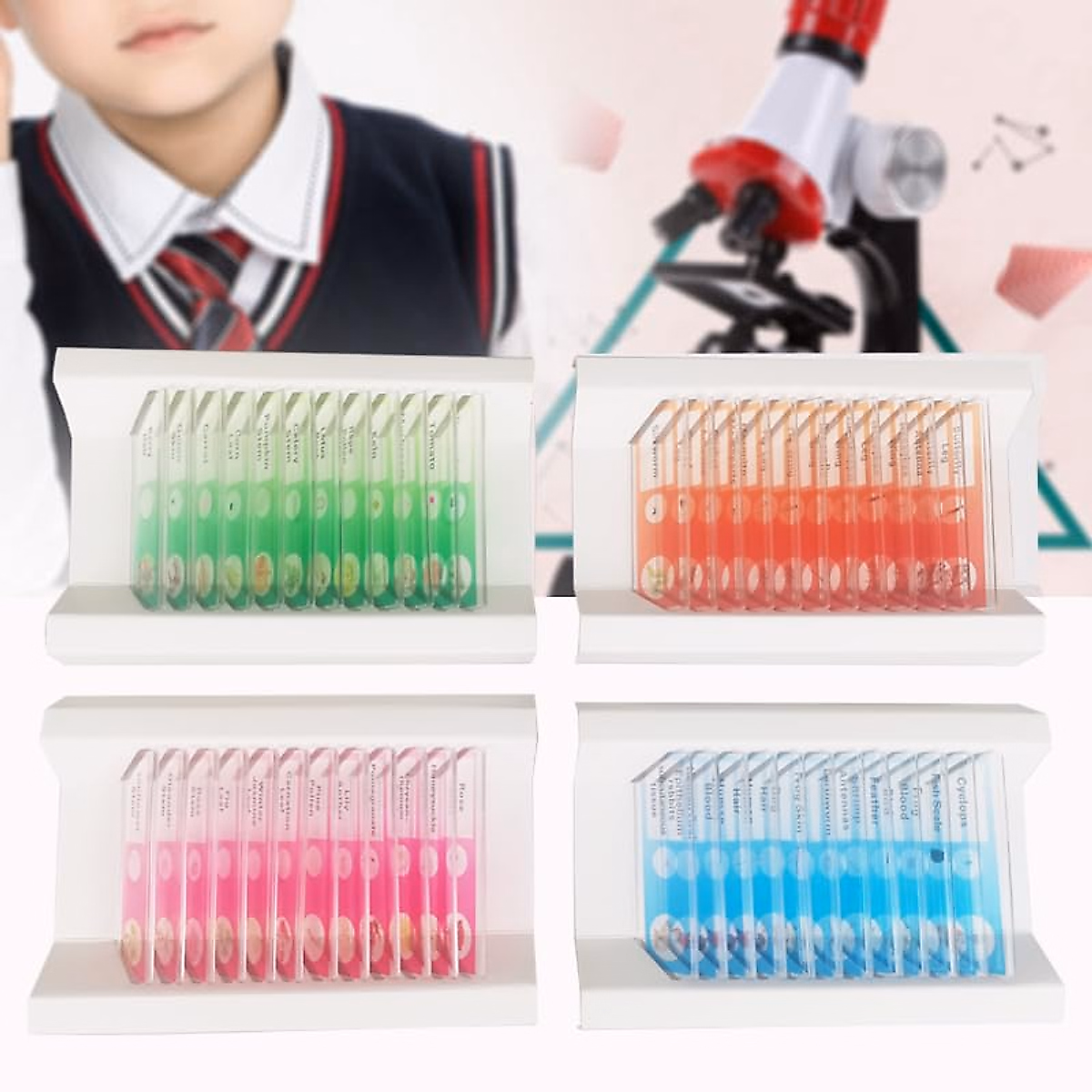48pcs Kids Plastic Prepared Microscope Slides of Animals Insects Plants Flowers Sample Specimens for Microscopes