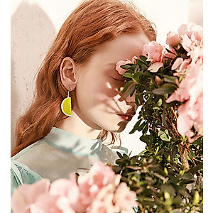 Jewdreamer 24 Pairs Cute Earrings Weird Earrings Set Funny Kawaii Earrings Fruit Gummy Bear Duck Water Bottle Goldfish Dinosaur Mushroom Butterfly Strawberry Dangle Earrings for Women