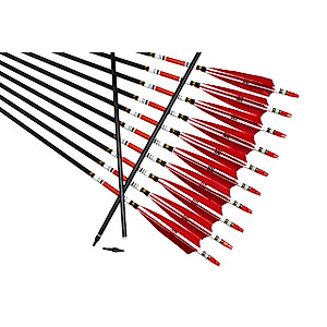 TTFLY FLETCHING 12PCS Red Turkey Feather 31 inches Carbon Arrows Replacement Tips Targeting Arrows Archery for Recurve Longbow Hunting&Practice