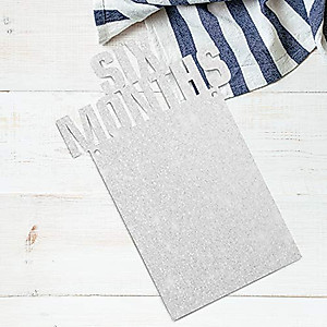 1st Birthday Baby Photo Banner - Perfect 1-12 Month Photo Prop Garland Bunting Baby Shower Party Decoration Glitter Silver