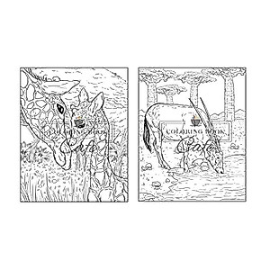 100 Wildlife Scenes: An Adult Coloring Book Featuring 100 Most Beautiful Wildlife Scenes with Animals, Birds and Flowers from Oceans, Jungles, Forests and Savannas