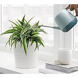 SAROSORA Nordic Watering Can for Plants Garden Flower Long Spout 1.2L Helps You Water Tiny House Plants, Succulent, Bonsai or Herb Gardens Indoor Outdoor (Blue)